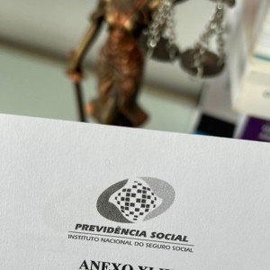 INSS: O Que é e Para Que Serve?