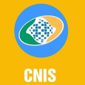 O que é o CNIS?